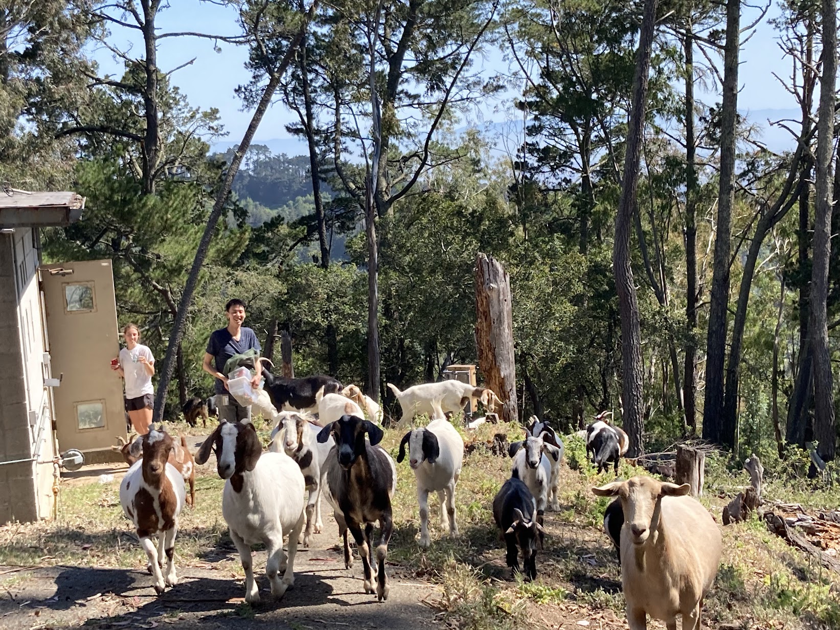 Lab Hangout and Food - Neurobat Lab